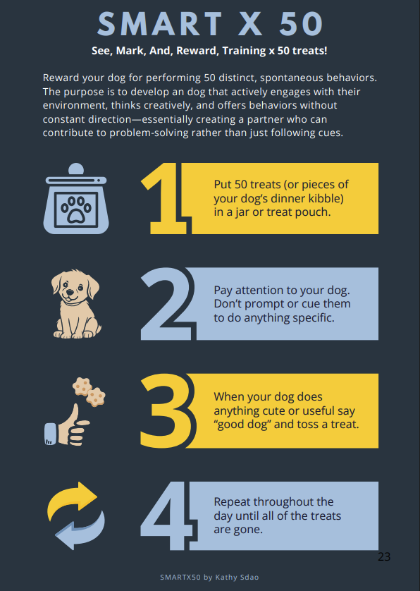 Understanding Dog Aggression - Good Human Dog Training